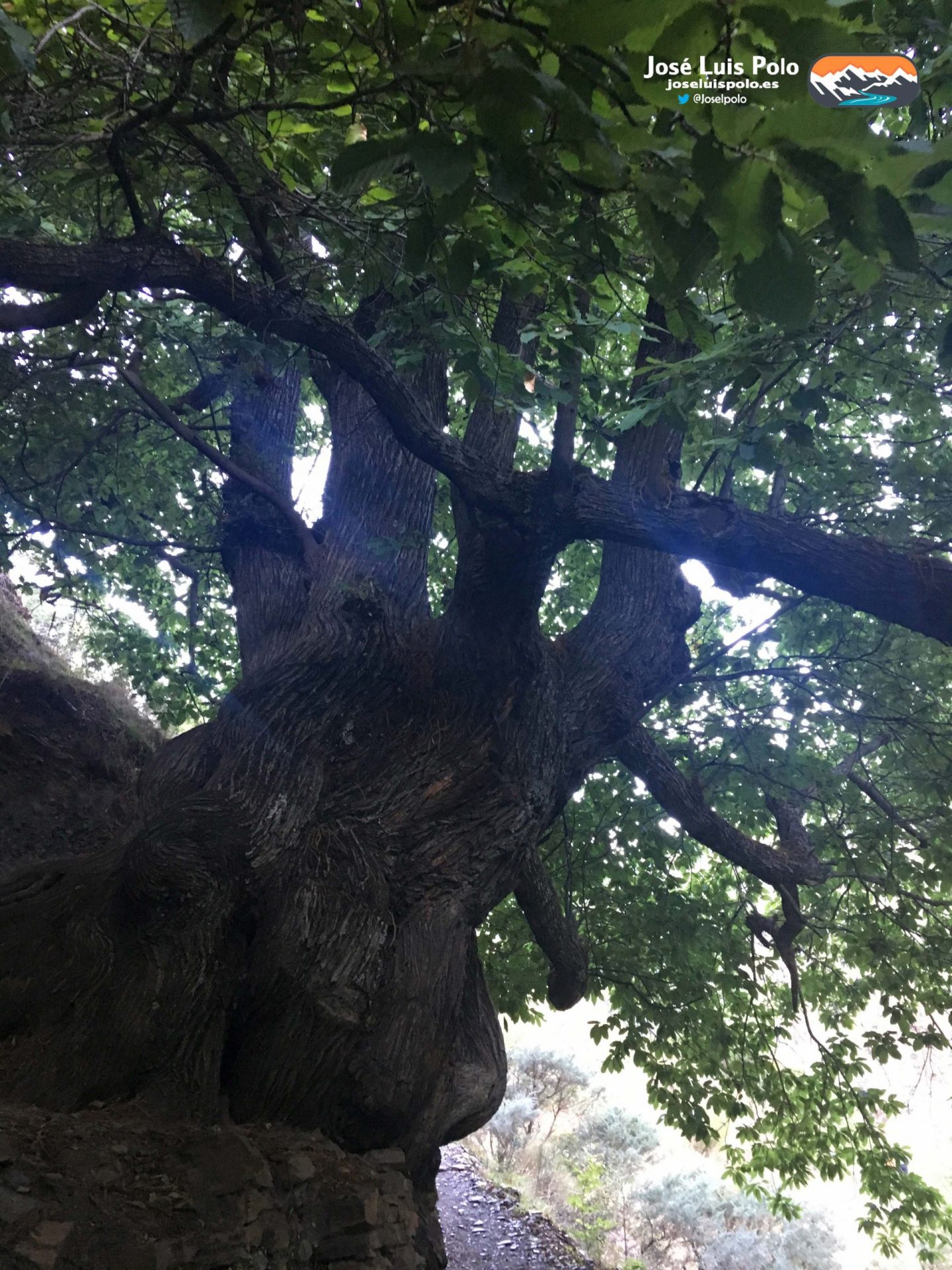 Circular Vereda de la Estrella, uno de los recorridos más bonitos de ...